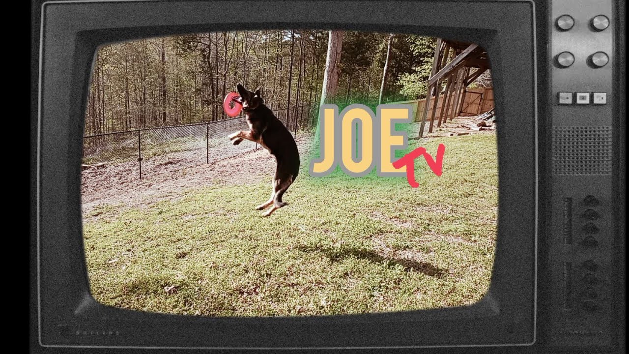 Joe TV! 📺 - YouTube