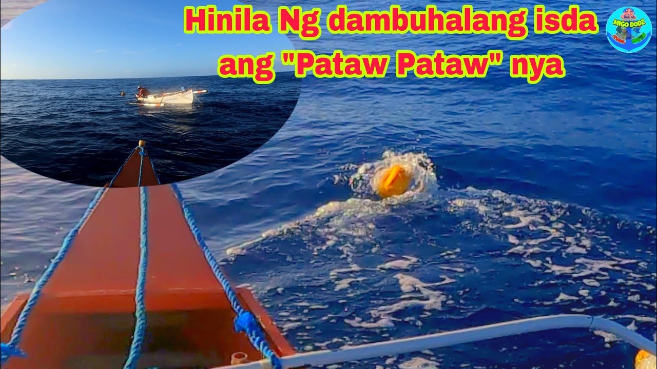 Part94 Pacific adventure| Hinila Ng dambuhala ang kanyang pataw pataw ...