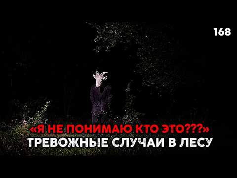 6 РЕАЛЬНЫХ ОПАСНЫХ СЛУЧАЕВ ВО ВРЕМЯ ПОХОДА