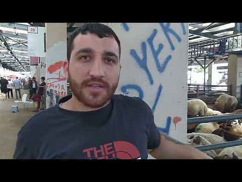 Kurban Pazarı Bursa Panayır 2022 /Part 1 / OAÇ TV