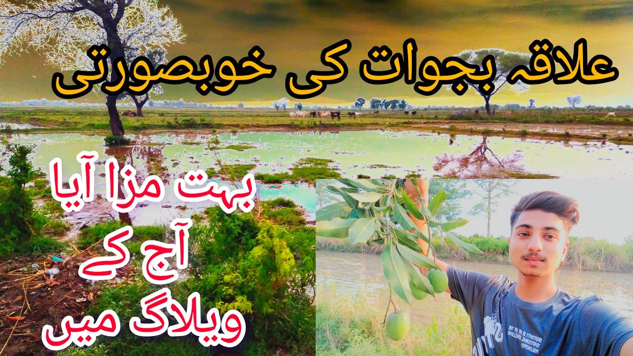 The Beauty of Bajwat was very fun in today's vlog l Faizan Pendu - YouTube