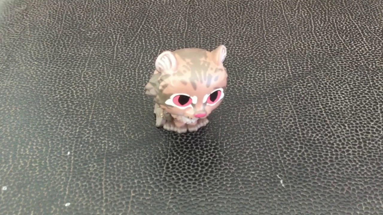 Harry Potter Filch's cat Mrs Norris - YouTube