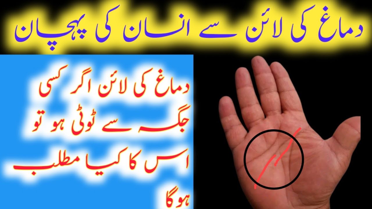 Mind line Explain What does it mean if the mind line is broken ...