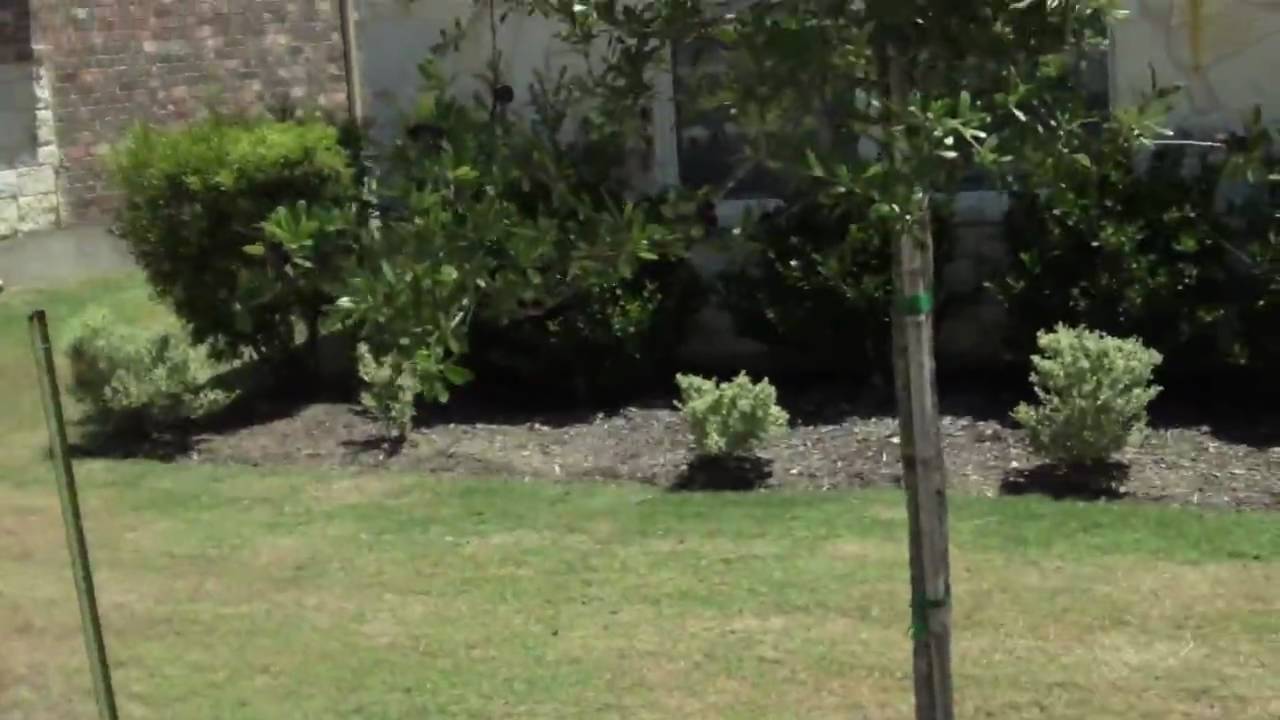 Pet Containment Fences San Antonio: Pet Stop Dog Fence System - YouTube