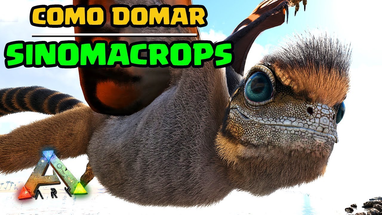 COMO DOMAR O SINOMACROPS em ARK: SURVIVAL EVOLVED - TUTORIAL - YouTube