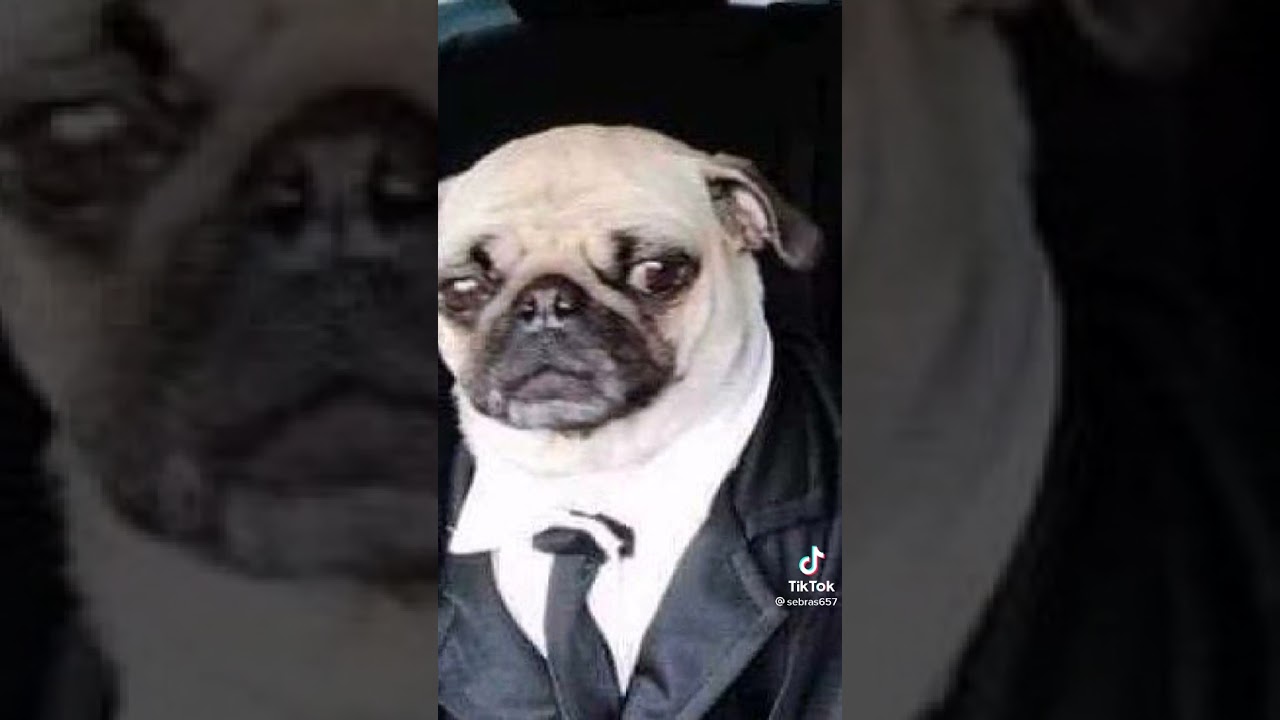 Día 12 ayudando a Personas a llegar a los primeros 100 subs (Resubido ...