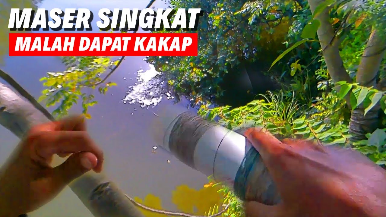 TANDA - TANDA MUSIM KAKAP SUDAH MULAI KELIHATAN SOB | PASER INDONESIA ...