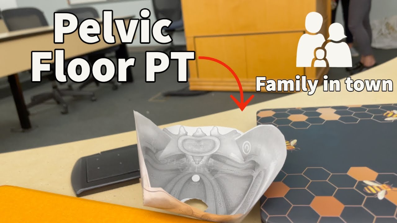 A Day in the Life of a DPT Student - Midterms Done, but Finals are ...