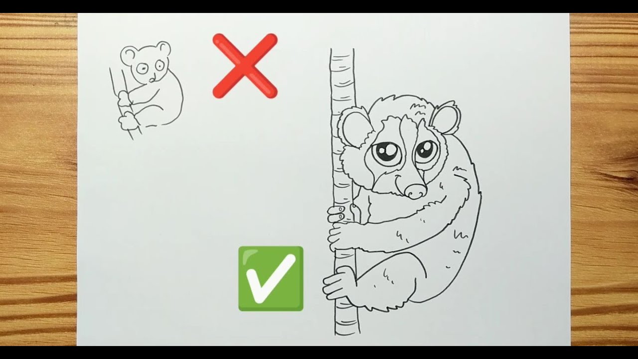 How to draw A SLOW LORIS Easy - YouTube