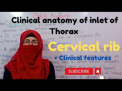 Cervical rib |clinical of the inlet of Thorax| clinical features of the ...