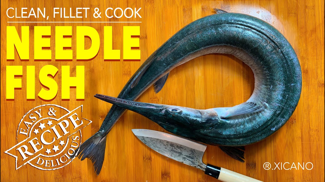 Needle Fish