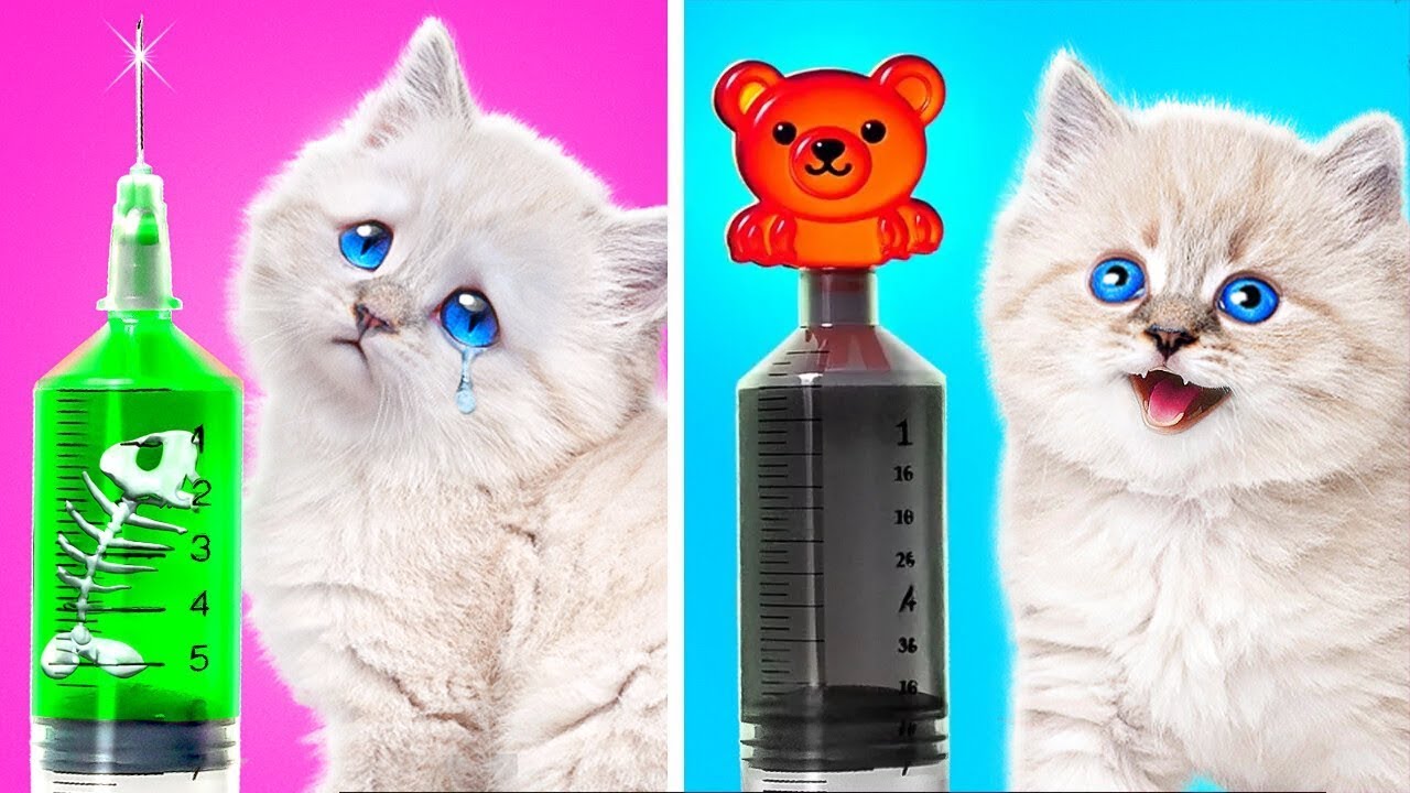 My Cat Is In Love With Pomni 🐱 ️🎀 Let's Make Funny Treats Together ...