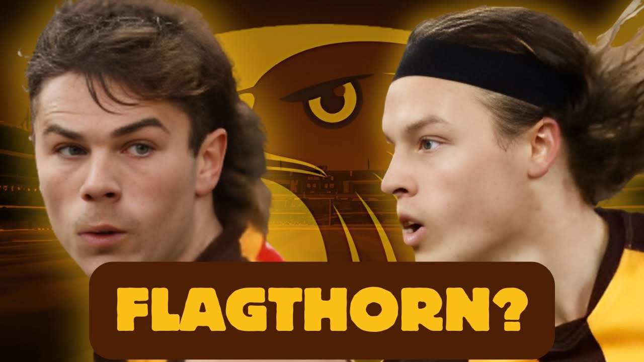 Can Hawthorn Win The 2024 Premiership? | AFL 2024 - YouTube