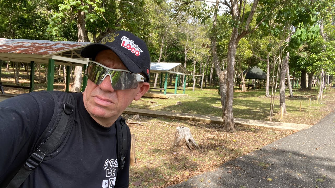 Bosque de susua entre montañas rios - YouTube