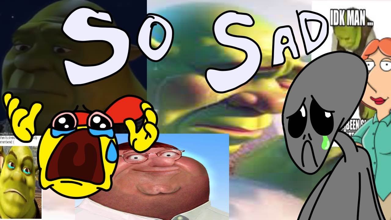 SHREK SAD STORY SCHOOL BULLY CRY (EXTRA STIMULUS INCLUDED)(I CRIED ...