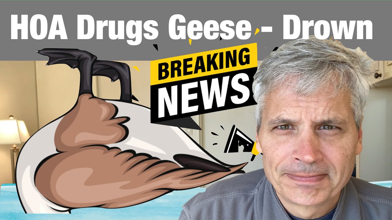 HOA Drugs / Drown Geese - YouTube