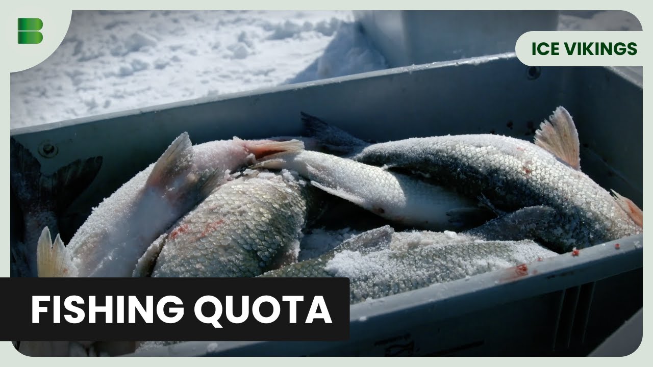 Battling Freezing Temperatures For The Tltimate Catch! - Ice Vikings ...