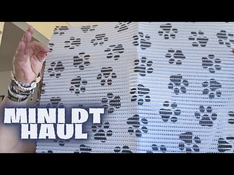 Mini DT Haul - YouTube