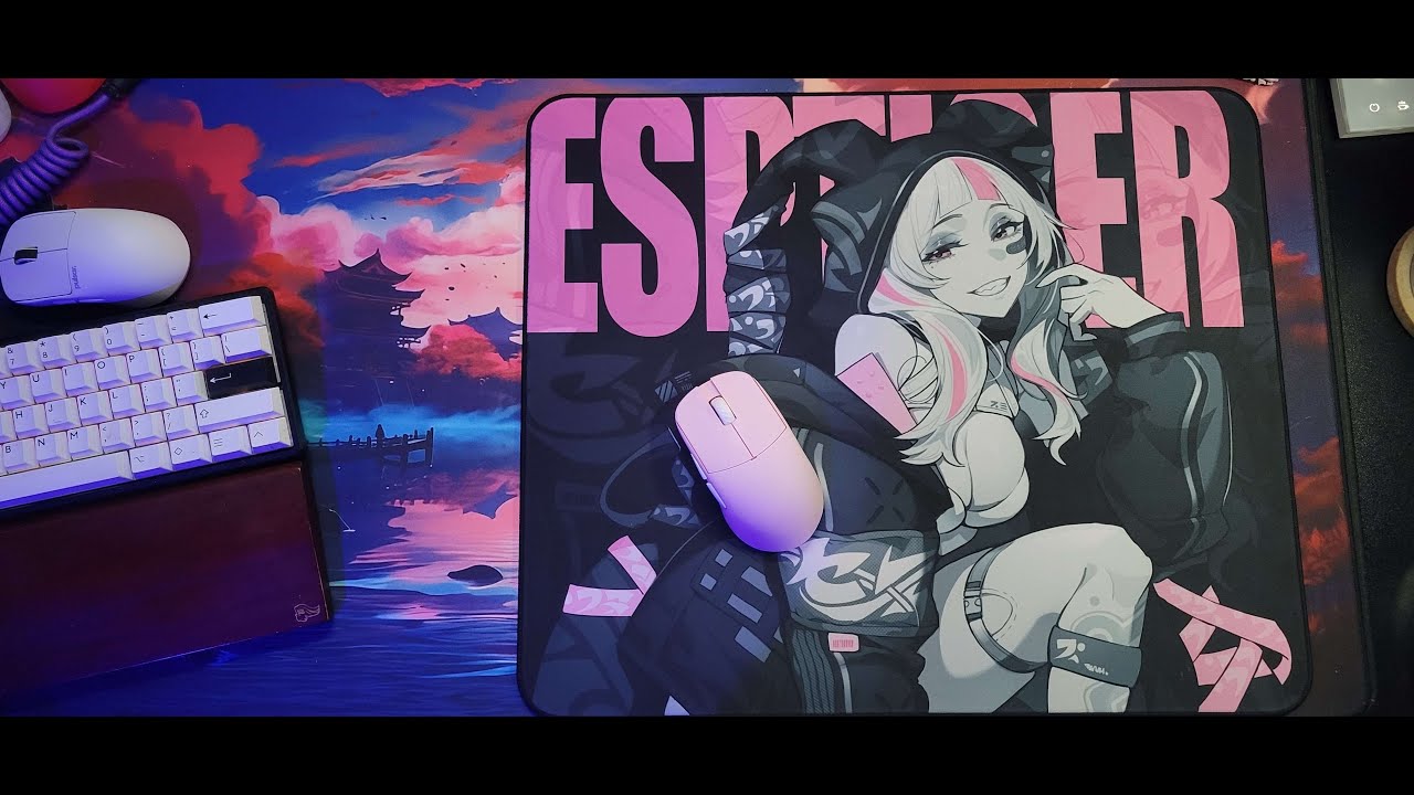 ESP TIGER Pioneer Tang Dao Gaming Mouse Pad First Impressions - YouTube