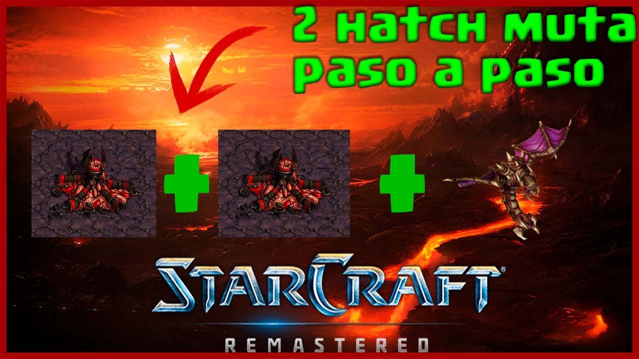 Guia 2 Hatch Muta standar Zerg vs Terran || STARCRAFT REMASTERED - YouTube