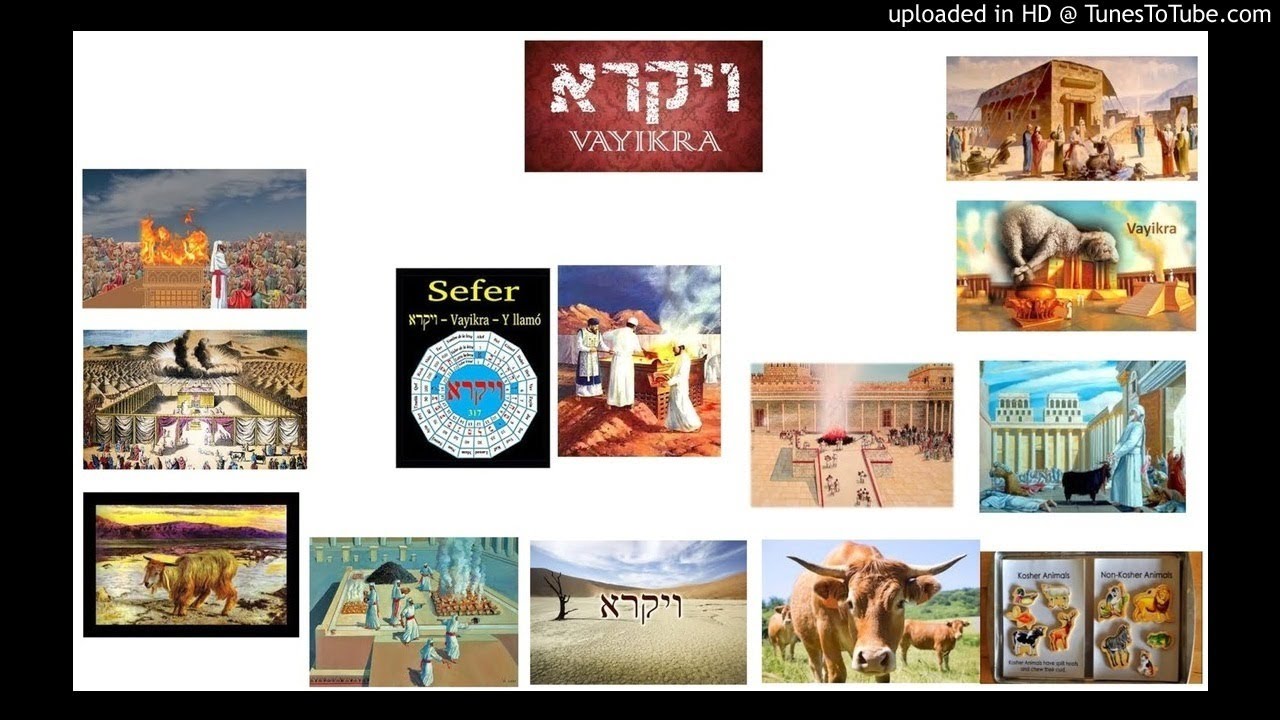 SEFER VAYIKRA - YouTube
