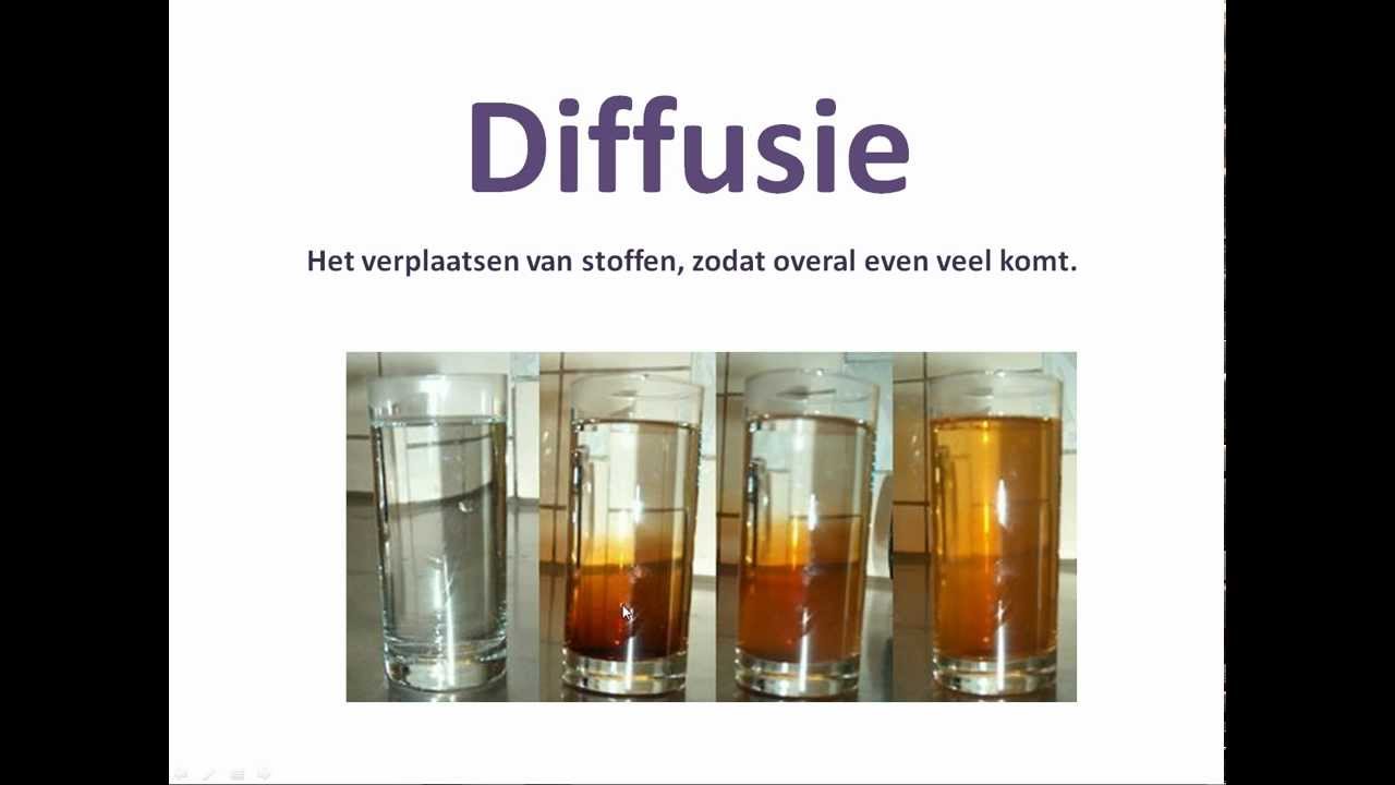 bs 2.2 diffusie, adhesie, cohesie - YouTube
