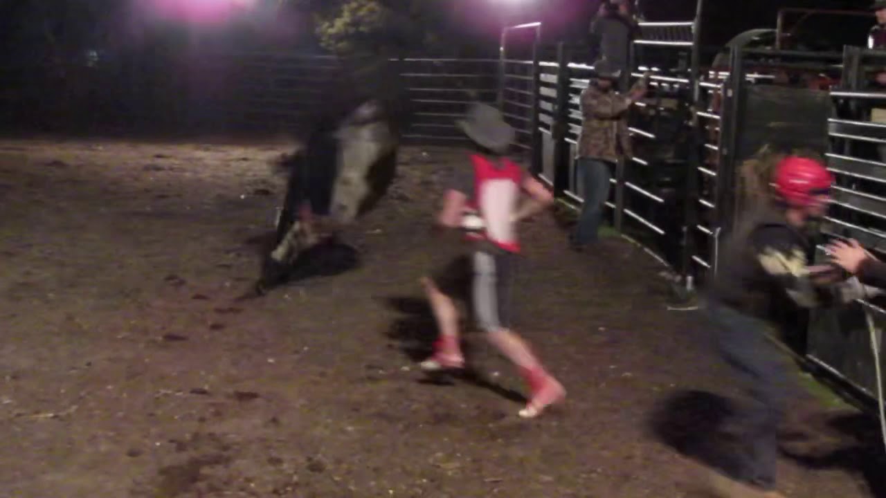 Feed Me More Broken G Bucking bull - YouTube