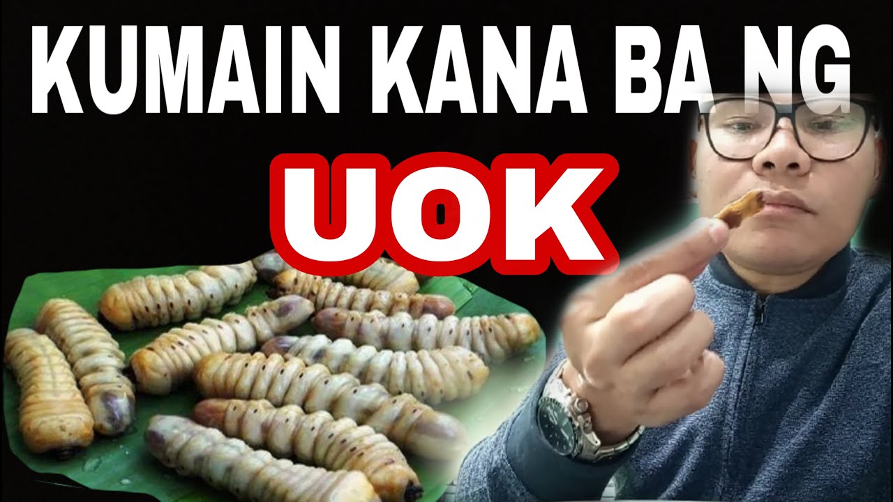 PAANO LUTUIN ANG UOK| COCONUT BEETLE WORM| EXOTIC FOOD FROM CAGAYAN ...