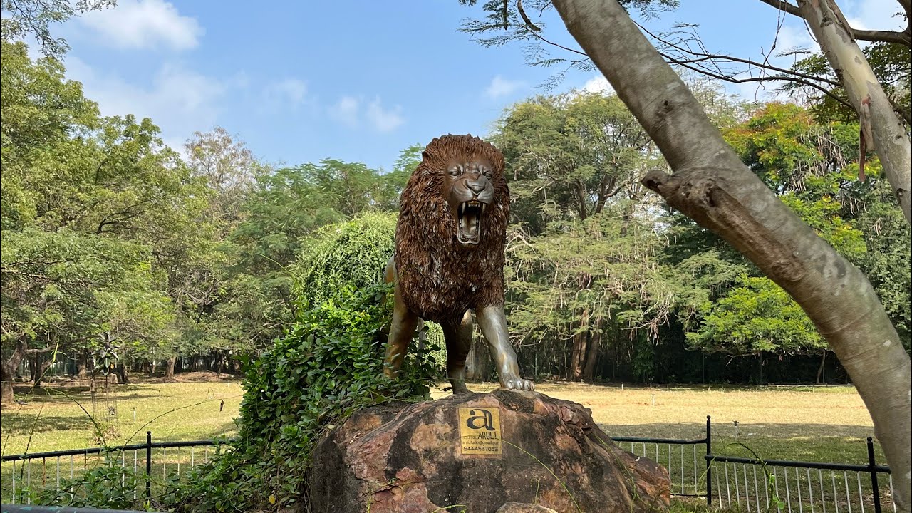 Vandalur Zoo Experience and don’t miss the goodbye at the end - YouTube