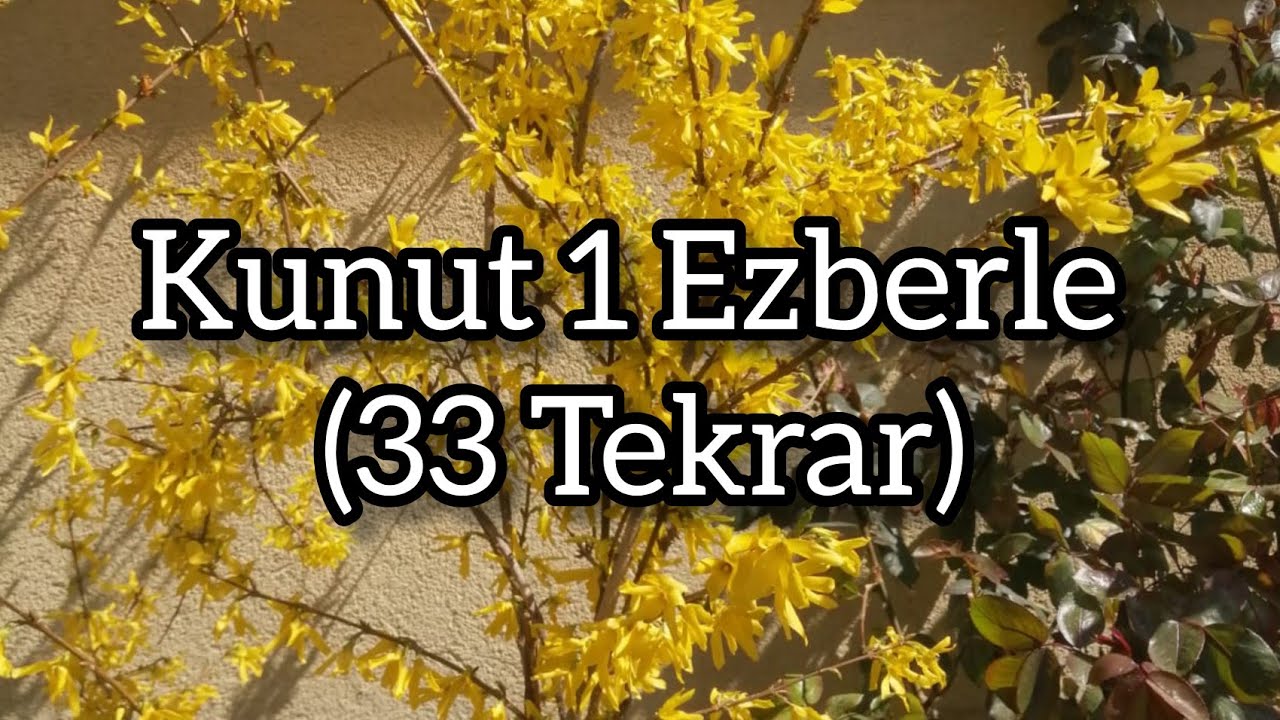 Kunut Duası 1 Ezberle (33 Tekrar) - YouTube