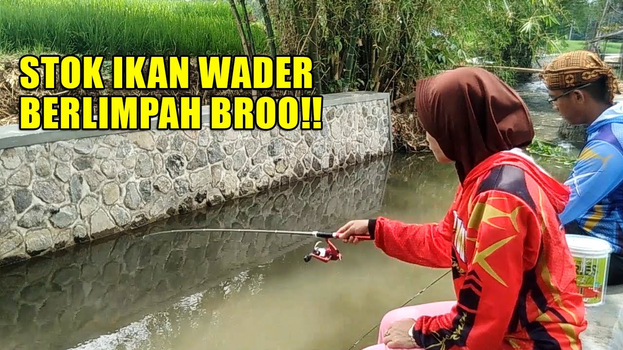 Mancing Di Sungai Ini Si Cantik Strike Terus Ikan Wader Babon Broo!! - JAWARA Mancing - YouTube
