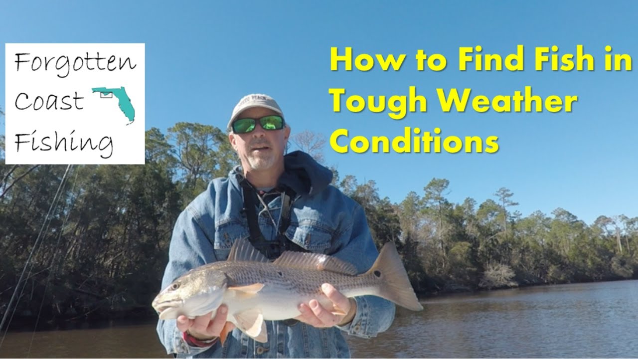 How to Catch Inshore Fish in TOUGH Conditions in the Winter - YouTube