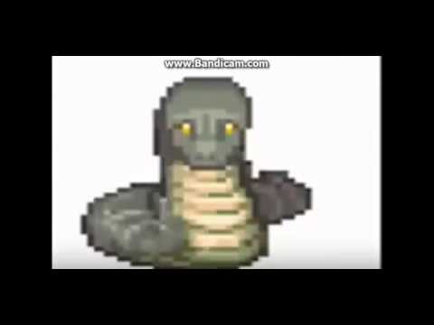 Wonsz Rzeczny - YouTube