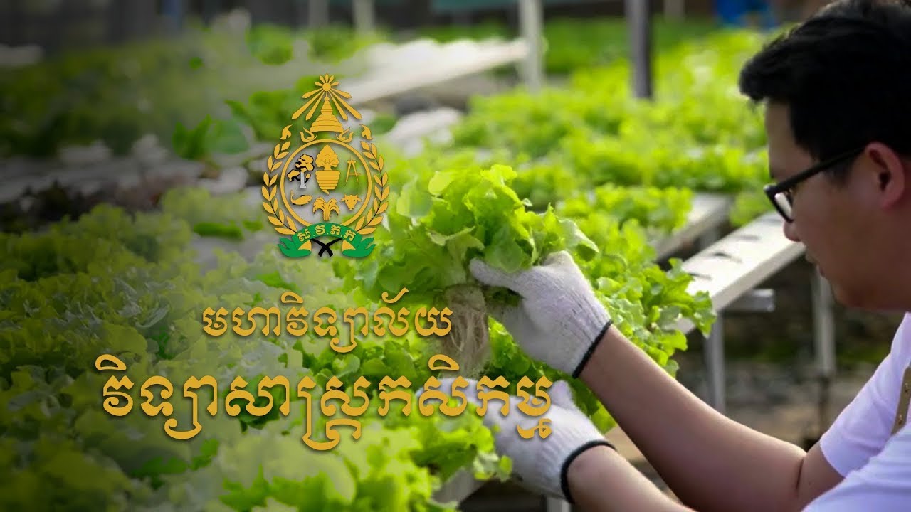 E03 Agronomy - YouTube