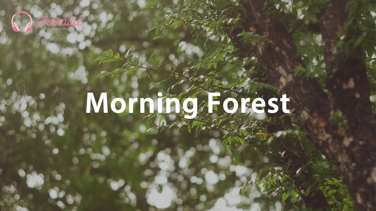Good Morning Music, Modern Healing Music, Forest Sounds, Comfort Music ...
