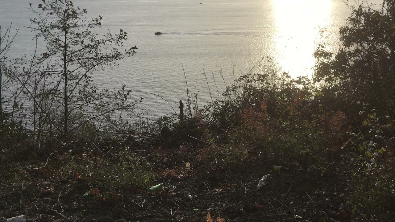 Discovery Park Virtual Fieldtrip Part 10- Magnolia Bluff - YouTube