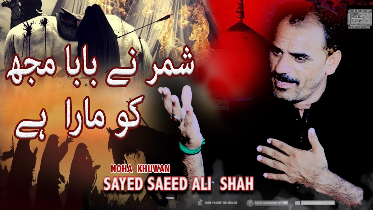 SHIMIR NE BABA MUJH KO MARA HAI I SAYED SAEED ALI SHAH I NEW NOHA 2024 ...