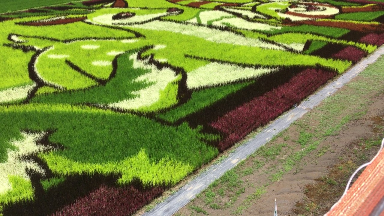 tanbo art Asahikawa 20/07/2017 - YouTube