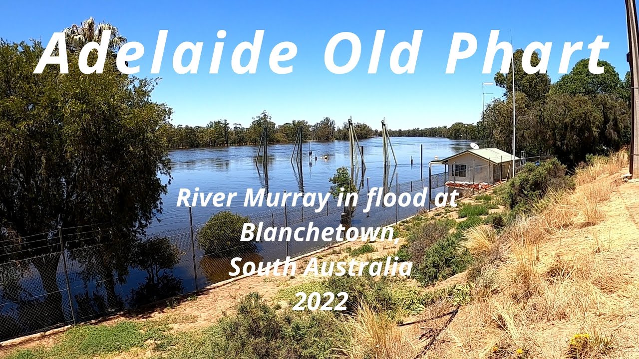 Blanchetown, Sth Aust - River Murray floods, 2022 - YouTube