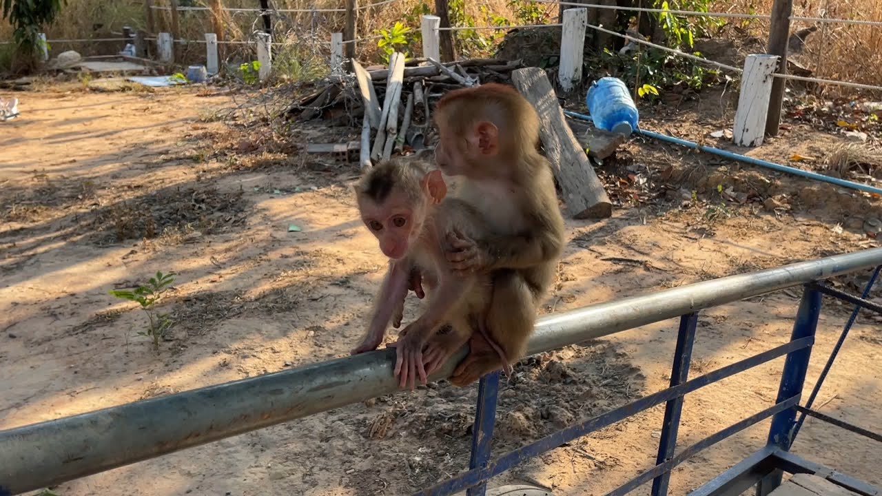 Baby Tav Tav Hugging His Sis From The Back Nice Posting - YouTube