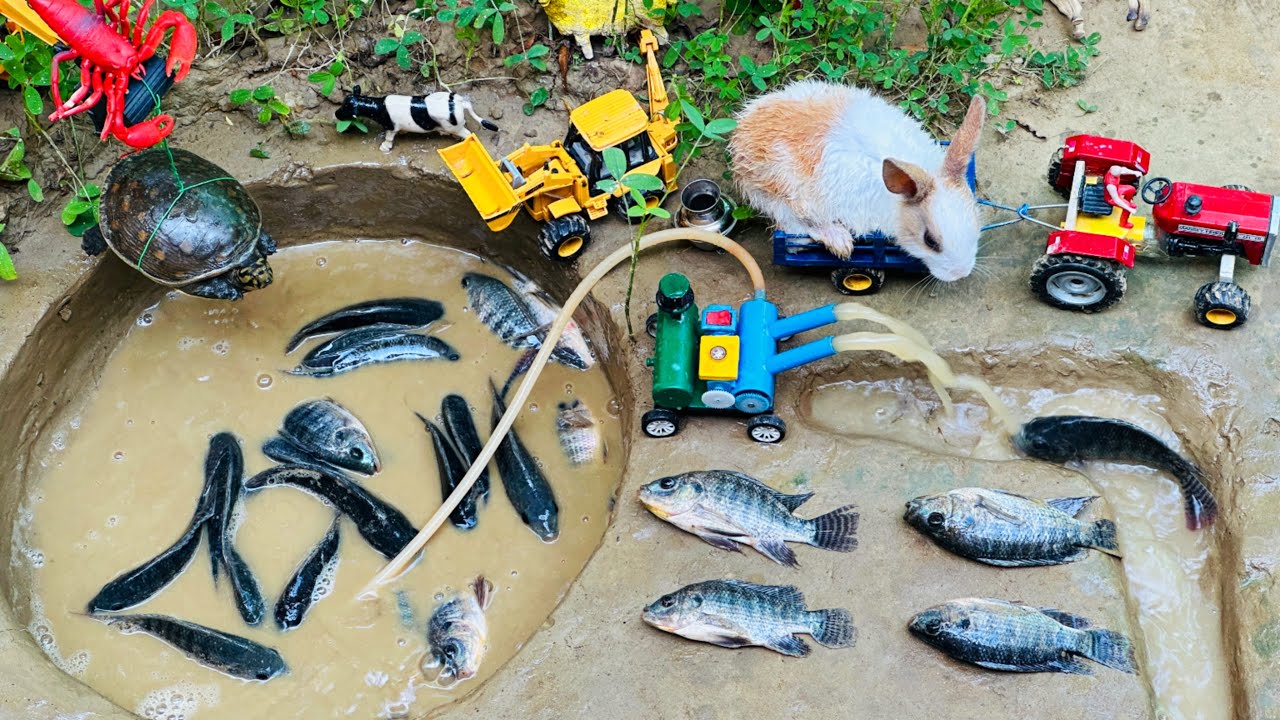 catch fish using mini water pump | fishing exciting | top diy tractor ...