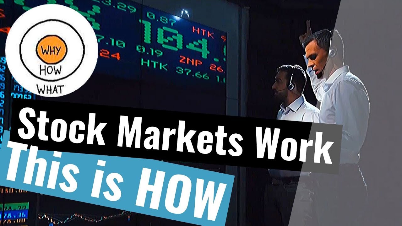How does the stock market work for beginners? | KNOW THE REASON - YouTube