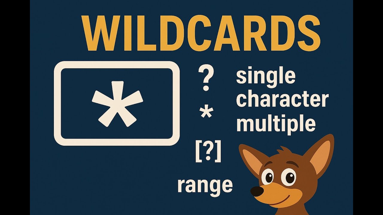 Unix Command Line: Wildcards I - YouTube