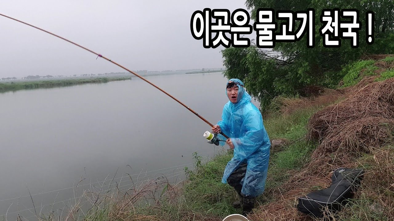 물고기 많기로 유명한 그곳 ! 이렇게 쉽게 잡는다고? 잡은 고기는 매운탕~ Spicy carp stew. - YouTube