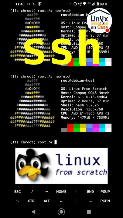 Android, Debian y Linux From Scratch LFS ¡En menos de 60 segundos! 🐧🐧🐧 - YouTube