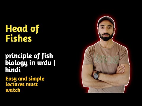 Head of Fishes | Principle of fish biology | Ichthyology | Asim ...