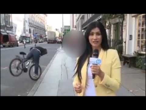 salamaleico - os melhores memes BR - REGGAE - CAT-MEMES - YouTube