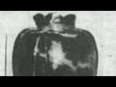 Paranormal Odyssey: The Basano Vase & Deer Woman! #'s 4 and 5 - YouTube