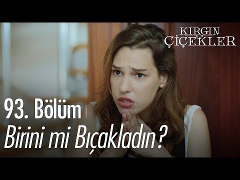Birini mi bıçakladın? - Kırgın Çiçekler 93. Bölüm