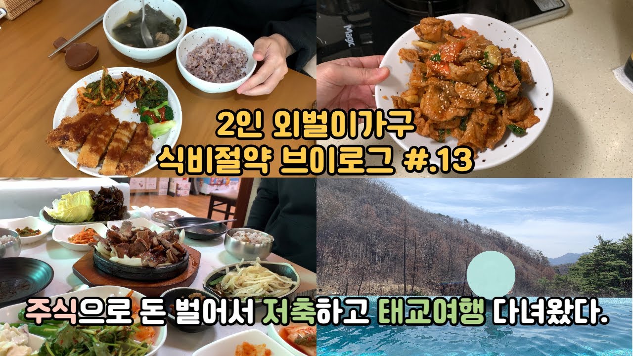 이것은 집밥 브이로그인가 태교여행 브이로그인가 감자탕 미역국 제육볶음 몰아하는 집안일 주식해서 여행가기